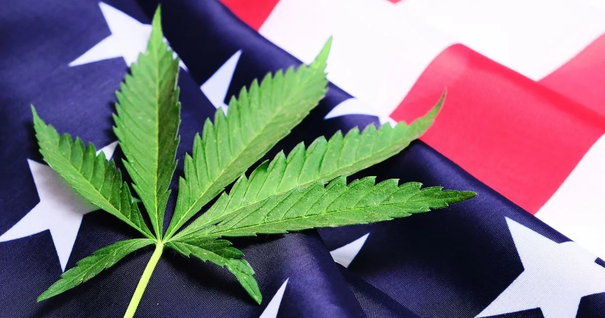 What the POTUS Cannabis Rescheduling Order Actually Means for U.S ...