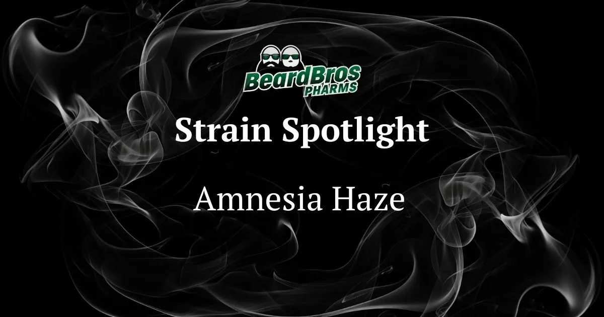 Strain Spotlight: Amnesia Haze and the Globalization of European ...