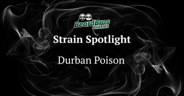 Strain Spotlight: Durban Poison and the Global Journey of a True ...