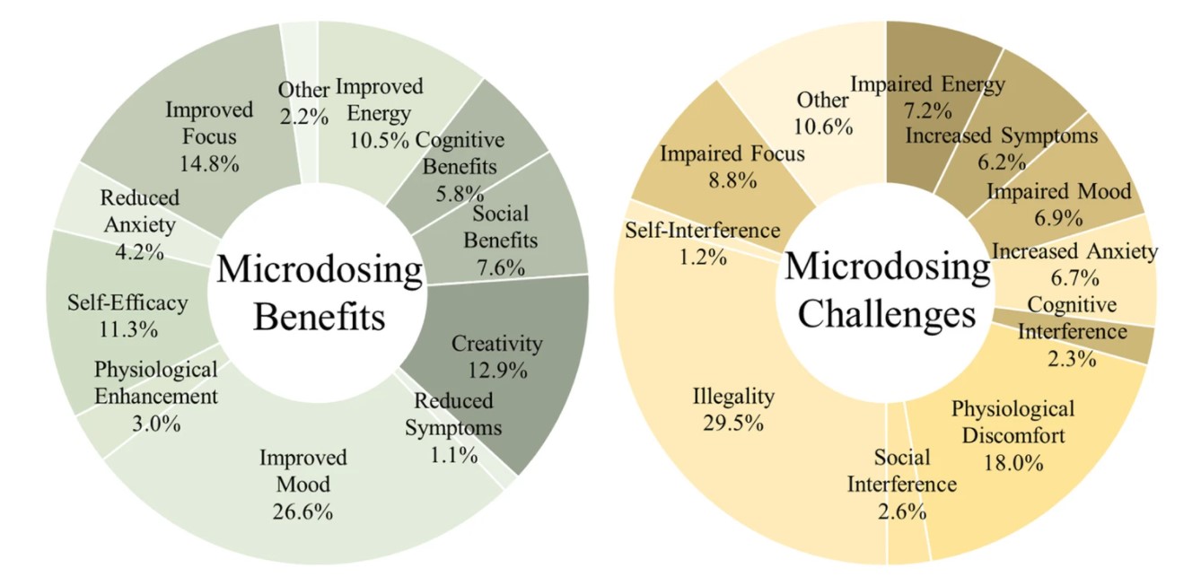 The Magic of Microdosing Mushrooms
