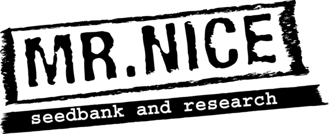 Breeding the Culture: Shantibaba