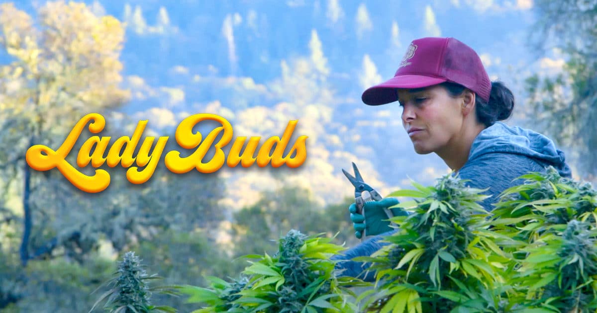 'Lady Buds' Documentary Screening Helps Cali Lawmakers Learn Impact