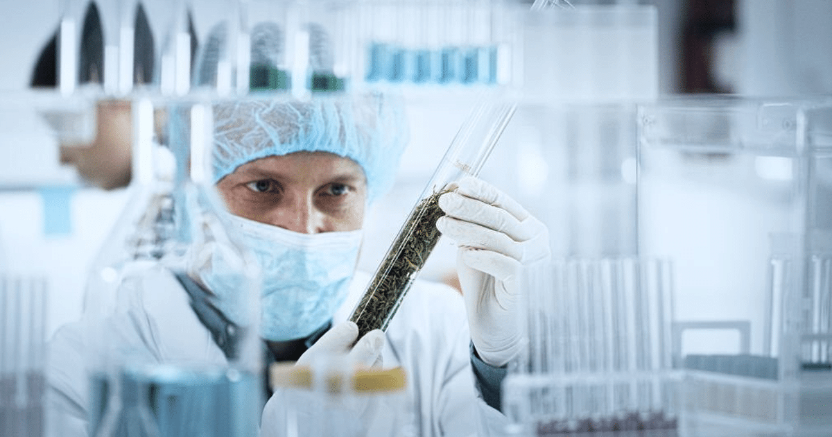 Rhode Island to Begin Lab Testing by End of June, Sales in December