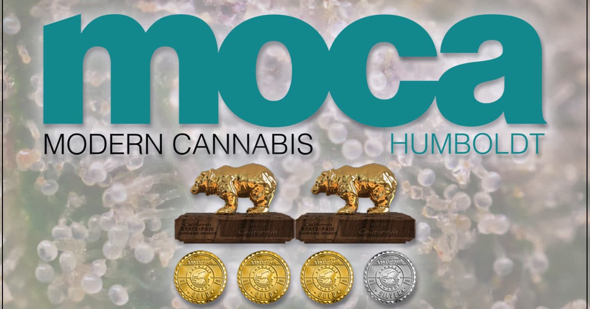 How MOCA Humboldt Swept Six Awards at the California State Fair