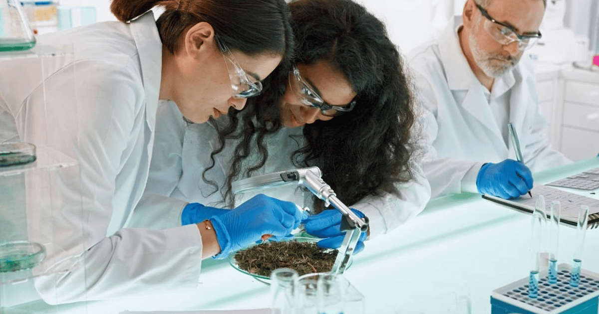 NIH Looking Into Current Barriers to Marijuana Research