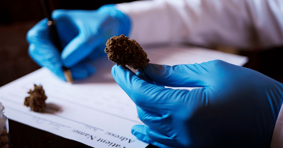 Analysis Shows Record Number of Cannabis Studies Published in 2022 ...