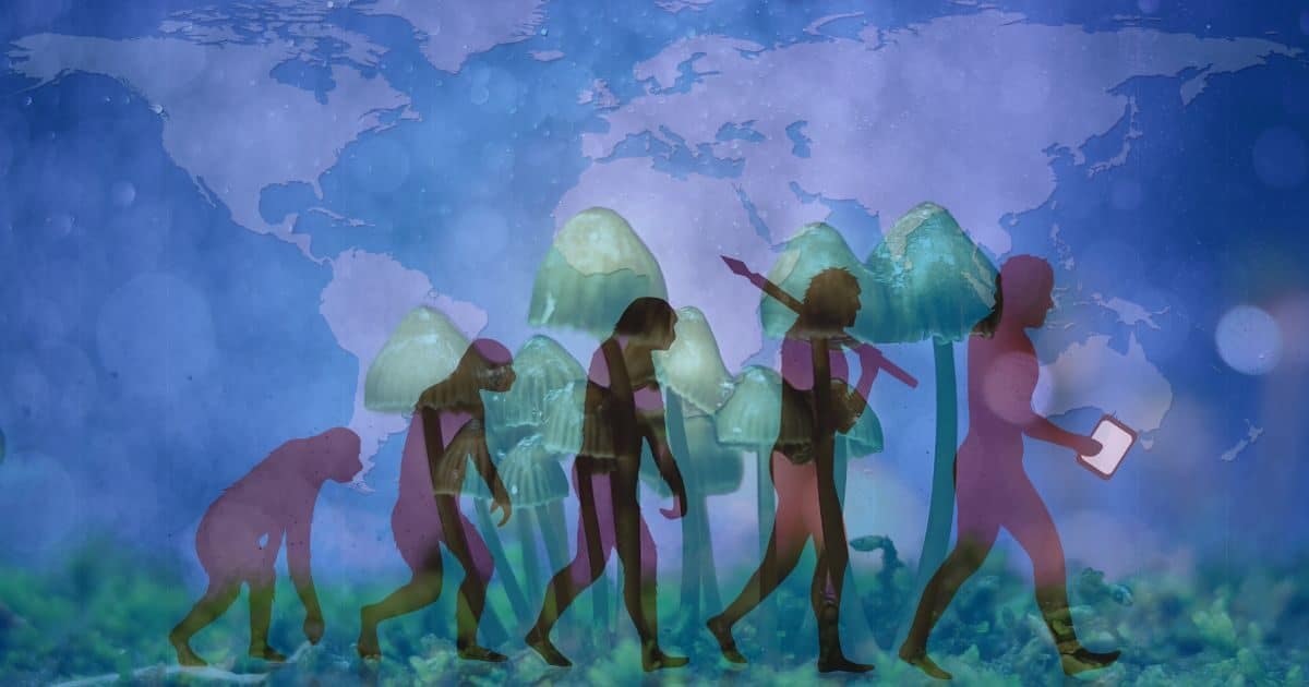 Exploring the Stoned Ape Theory: Unlocking Human Self-Awareness - BEARD ...