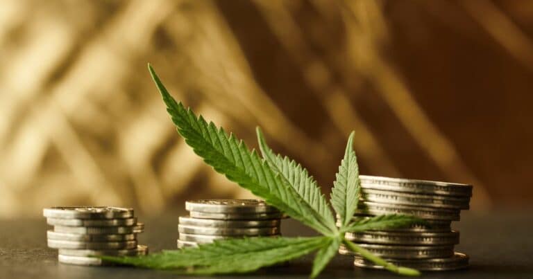 NBA Removes Cannabis from Banned Substances and Allows Investment and ... NBA Removes Cannabis from Banned Substances and Allows Investment and ...