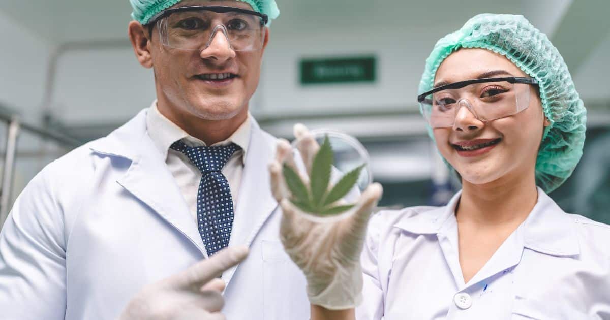 Medical Marijuana Company Files Suit Against DEA Over Licensing Delays - BEARD BROS PHARMS