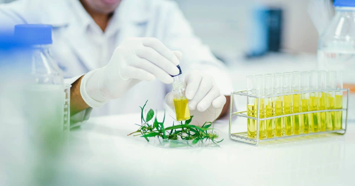 DCC Potency Standardization Takes Effect For California Testing Labs ...