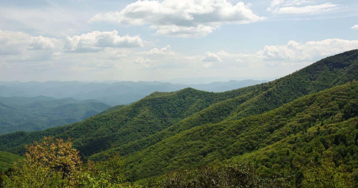 Eastern Band of Cherokee Indians Issues First Medical Cannabis Cards In ...
