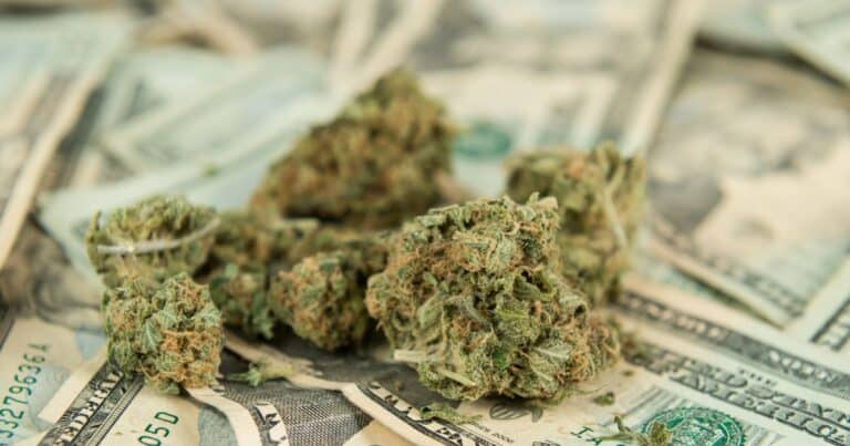 New Jersey Continues To Use Marijuana Tax Money The Right Way - BEARD ...