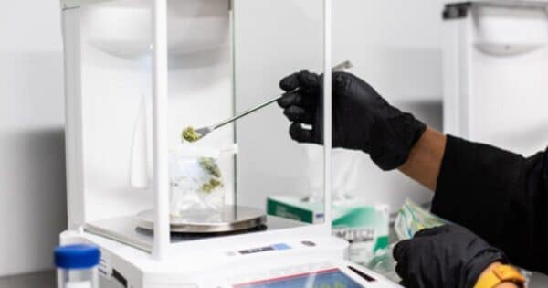 California Testing Labs Now Required to Follow Standardized Testing ...