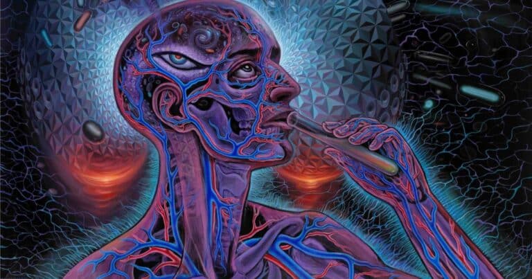The Chambers Project Unveils The Psychedelic Arts and Culture Trust ...