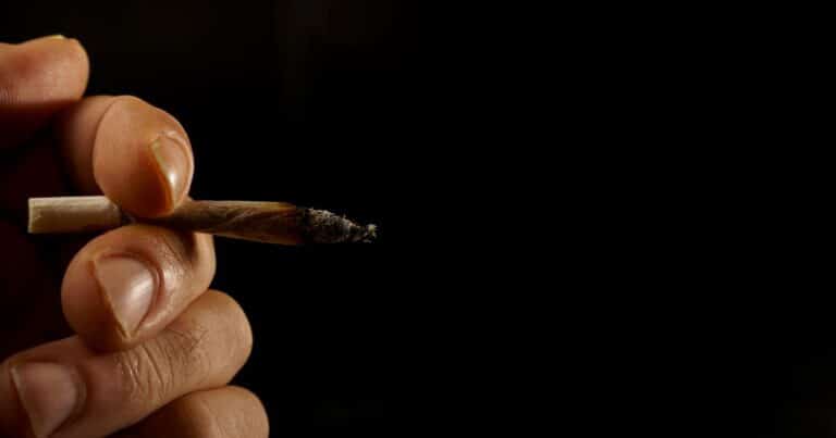 Thailand Health Minister Says Plan Is To Ban Recreational Cannabis Use ...