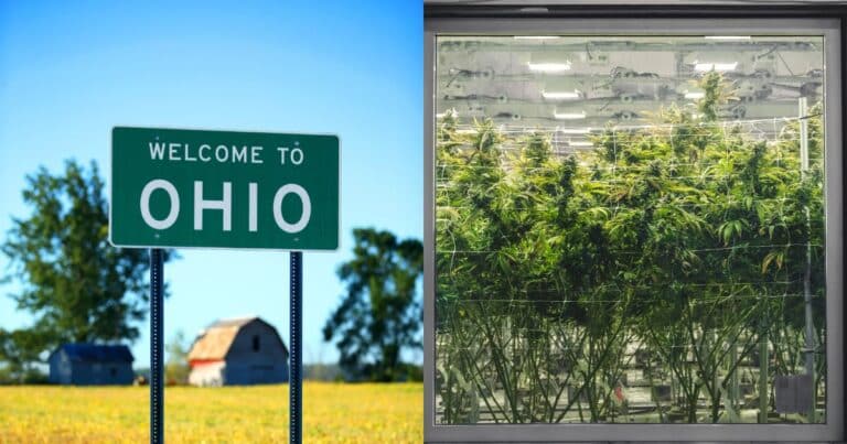 Ohio DDC Issues First Adult-Use Marijuana Licenses - BEARD BROS PHARMS