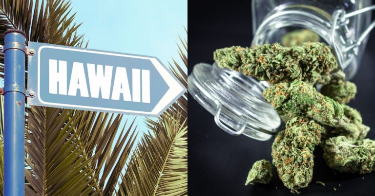 Hawaii's Most Recent Push Toward Recreational Marijuana Legalization to ...