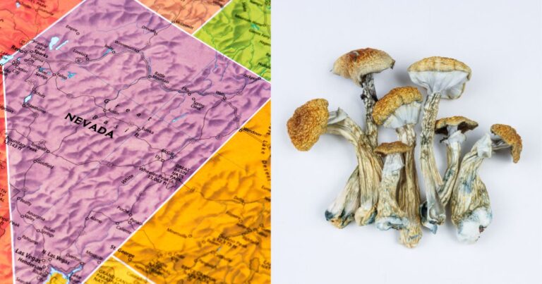 New Nevada Psychedelics Bill Would Create an Alternative Therapy Pilot ...