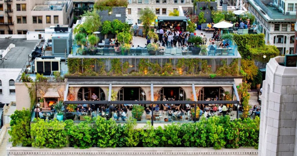 Restaurant Spotlight: Perch LA – A Sky-High Culinary Escape in Downtown ...