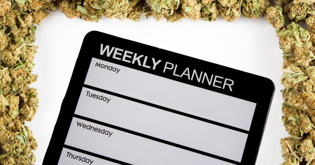 Why Cannabis-Themed Weeks Are Falling Short—and How to Fix Them - BEARD BROS PHARMS