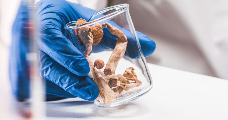 DEA Requests Psilocybin Rescheduling Review – A Breakthrough for ...
