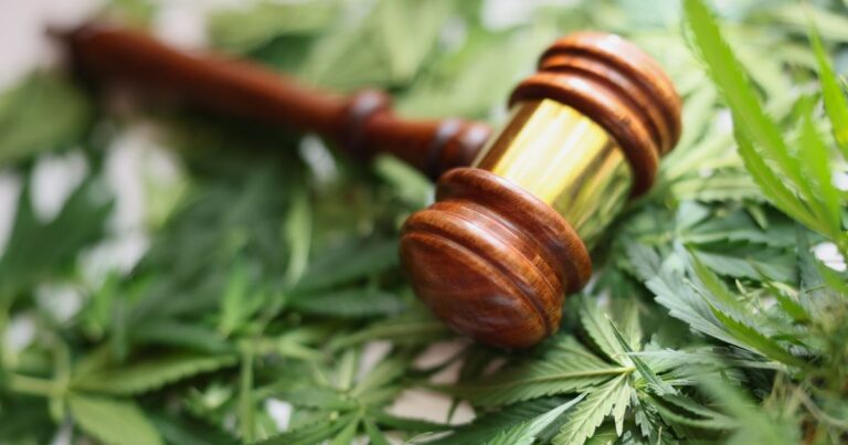 Florida Recreational Marijuana Initiative Advances Following Legal ...